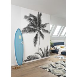 Fototapete Komar "Retro Palm", schwarz (schwarz, wei&szlig;), B:200m H:250m, Vlies, Tapeten, 200 x 250 cm (Breite x H&ouml;he) - Tapete, Vlies, Wohnzimmer, Schlafzimmer