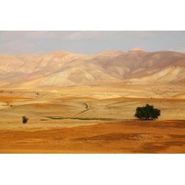Fototapete papermoon "Landschaft", bunt, B:4,5m L:2,8m, Vlies, Tapeten