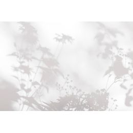 Livingwalls Fototapete LIVING WALLS "Walls by Patel Shadow Room", grau, B:4m L:2,7m, Vlies, Tapeten, Vlies, Wand