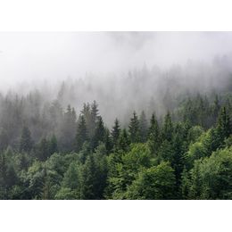 Livingwalls Fototapete LIVING WALLS "Designwalls Foggy Fir Trees", gr&uuml;n (gr&uuml;n, grau), B:3,5m L:2,55m, Vlies, Tapeten, Vlies, Wand, Schr&auml;ge, Decke