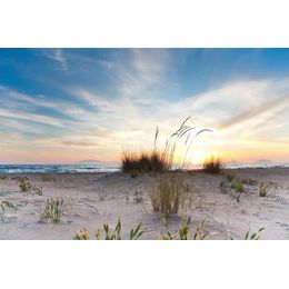 Fototapete papermoon "Strand", bunt, B:3,5m L:2,6m, Vlies, Tapeten