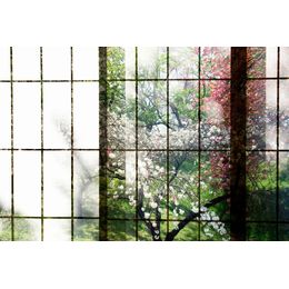 Livingwalls Fototapete LIVING WALLS "Walls by Patel Orchard 2", gr&uuml;n (bunt), B:4m L:2,7m, Vlies, Tapeten, Vlies, Wand, Schr&auml;ge