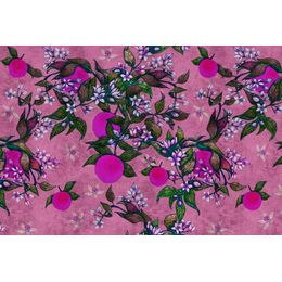 Livingwalls Fototapete LIVING WALLS "Walls by Patel Grapefruit Tree 2", rosa (rot), B:4m L:2,7m, Vlies, Tapeten, Vlies, Wand, Schr&auml;ge