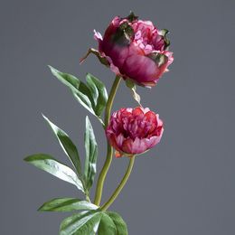 DPI Kunstblume P&auml;onie