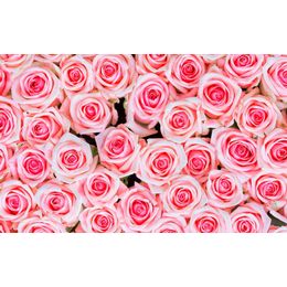 Livingwalls Fototapete LIVING WALLS "rosa Rosen", bunt, B:4m L:2,5m, Vlies, Tapeten, Vlies, Wand, Schr&auml;ge