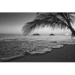 Fototapete papermoon "Strand Schwarz & Wei&szlig;", schwarz (schwarz, wei&szlig;), B:5m L:2,8m, Vlies, Tapeten