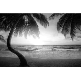 Fototapete papermoon "Strand Schwarz & Wei&szlig;", schwarz (schwarz, wei&szlig;), B:3,5m L:2,6m, Vlies, Tapeten