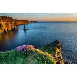 Fototapete papermoon "MOHER IRLAND-STRAND KLIPPEN K&Uuml;STE BLUMEN MEER GEBIRGE", bunt, B:5m L:2,8m, Vlies, Tapeten