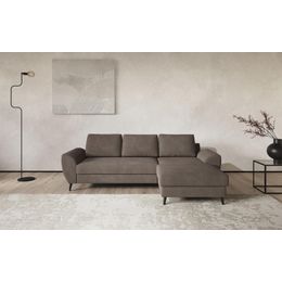 Ecksofa COTTA "Terra L-Form, Breite 255 cm", taupe, B:255cm H:83cm T:154cm, 96% POLYESTER (PES) 4% POLYAMID(PA), Sofas, Ecksofa, wahlweise mit Bettfunktion