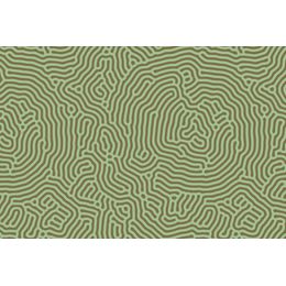 Livingwalls Fototapete LIVING WALLS "Walls by Patel Sahel", gr&uuml;n, B:4m L:2,7m, Vlies, Tapeten, Vlies, Wand
