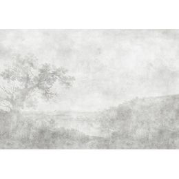 Livingwalls Fototapete LIVING WALLS "Walls by Patel Romantic River", grau, B:4m L:2,7m, Vlies, Tapeten, Vlies, Wand
