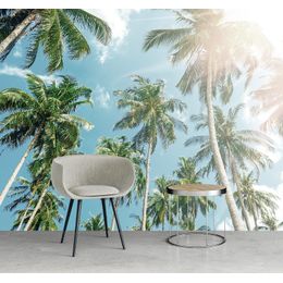 Fototapete queence "Palmen mit Himmel", blau, B:360m H:250m, Vinyl, Tapeten, Wandpaneele, selbstklebend, Tapete, Sticker, Wanddeko, XXL-Fotomotiv