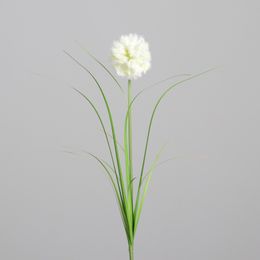 DPI Kunstblume PUSTEBLUME