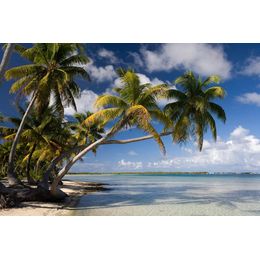 Fototapete papermoon "Strand mit Palmen", bunt, B:4,5m L:2,8m, Vlies, Tapeten