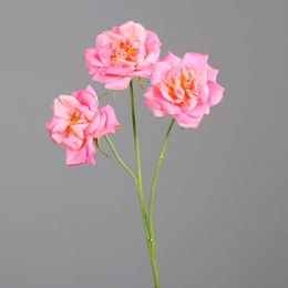 DPI Kunstblume Rosenzweig