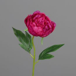 DPI Kunstblume P&Auml;ONIE