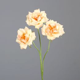 DPI Kunstblume Rosenzweig