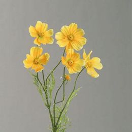 DPI Kunstblume COSMEA