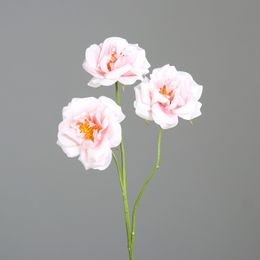 DPI Kunstblume Rosenzweig