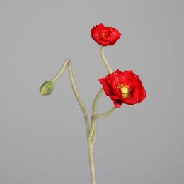 DPI Kunstblume Mohn