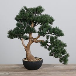 DPI Kunstpflanze Bonsai