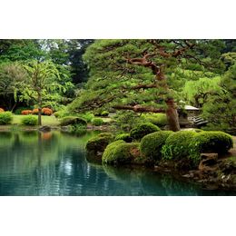 Fototapete papermoon "Ruhiger Zen See", bunt, B:4,5m L:2,8m, Vlies, Tapeten