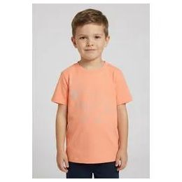 T-Shirt Tom Tailor, Jungen, Gr. 104/110, bright coral, Jersey, Obermaterial: 100% Baumwolle, bedruckt, regular fit taillenbedeckt, Rundhals, gerader Abschluss, Shirts T-Shirt, mit in der Nacht leuchtendem Dino-Print