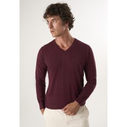 V-Ausschnitt-Pullover FELIX HARDY "Pullover mit V-Ausschnitt", Herren, Gr. M, bordeaux, 100% Baumwolle, Pullover