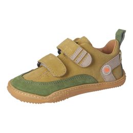 QNUFFS Jungen Barfu&szlig;schuh "Ahorn", Gr. 31oil, tundra, Lederimitat, Veloursleder, kontrastfarbene Details, Schuhe, Klettschuh, Kinderschuh mit