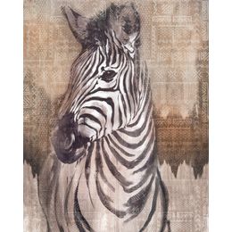 Vliestapete Komar "Digitaldruck Vlies - Zebra - Gr&ouml;&szlig;e 200 x 250 cm", bunt (schwarz, braun, wei&szlig;), B:200m L:250m, Vlies, Tapeten, Wohnzimmer, Schlafzimmer