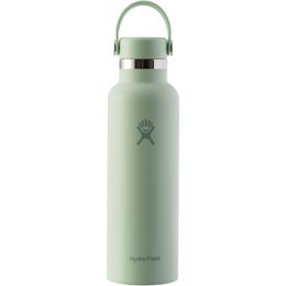 Hydro Flask 21 OZ STANDARD FLEX CAP Isolierflasche - Gr&ouml;&szlig;e Einheitsgr&ouml;&szlig;e - gr&uuml;n