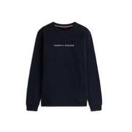 Tommy Hilfiger Sweatshirt male Blue size XS