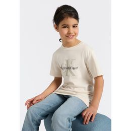 M&auml;dchen T-Shirt, beige, Gr. 16, Calvin Klein Jeans, unifarben, Single Jersey, Obermaterial: 100% Baumwolle, Shirts, f&uuml;r Kinder bis 16 Jahre, regular