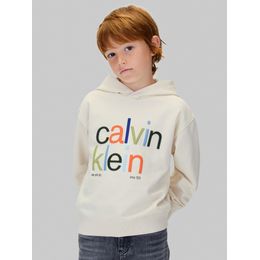 Calvin Klein Sweatshirt Jungen Gr&ouml;&szlig;e 164 taupe / hellgr&uuml;n / dunkelgr&uuml;n / orange