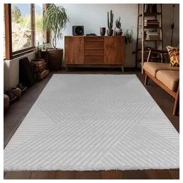 Teppich Ayyildiz TEPPICHE "SAHARA 1115", silber (silberfarben), B:140cm H:12mm L:200cm, Polypropylen, Teppiche, Teppich, L&auml;ufer / Pflegeleicht / Strapazierf&auml;hig / Trend Colors/ Wohnzimmer