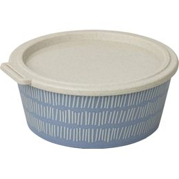 Koziol Blomster Box Schale mit Deckel 1,3 Liter stapelbar / luftdicht / auslaufsicher nature flower blue line - Sch&uuml;sseln & Schalen