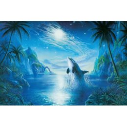 Fototapete papermoon "TROPISCH-PALMEN TIERE DSCHUNGEL MEER ORKA", bunt, B:4,5m L:2,8m, Vlies, Tapeten