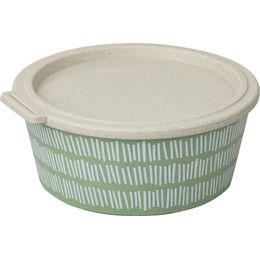 Koziol Blomster Box Schale mit Deckel 1,3 Liter stapelbar / luftdicht / auslaufsicher nature leaf green line - Sch&uuml;sseln & Schalen