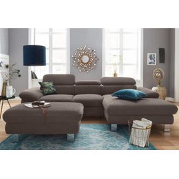 Ecksofa COTTA "Driver L-Form", braun (espresso), B:268cm H:73cm T:169cm, Struktur (100% Polyester);Chenille (90% Polyester, 10% Polyamid), Sofas, Ecksofa, mit Kopfteilverstellung, wahlweise mit Bettfunktion & Bettkasten