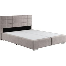 Boxspringbett COTTA "Simba", grau (elephant), L:209cm, Komplettbetten, Boxspringbett, wahlweise mit oder ohne Matratze und Topper bestellbar