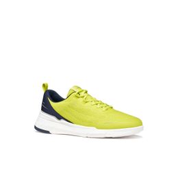 Sneaker Geox "U VITTOUR", Herren, Gr. 41, gelb, navy, Lederimitat, Textil, Schuhe Sneaker, Halbschuh, Freizeitschuh, Schn&uuml;rer mit Kontrastbesatz
