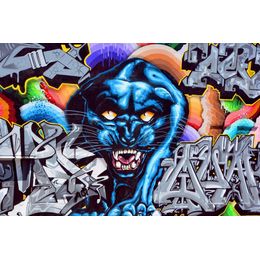 Fototapete papermoon "Graffiti", bunt, B:4,5m L:2,8m, Vlies, Tapeten