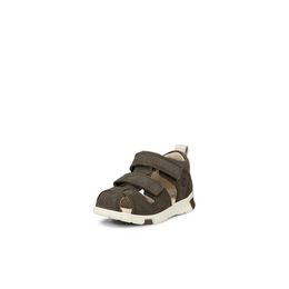 Lauflernschuh Ecco "Mini Stride Sandal", M&auml;dchen, Gr. 23, gr&uuml;n (khaki), Nubukleder, Schuhe Lauflernschuh, Babyschuh, Sandale, Sommerschuh mit Lederinnensohle