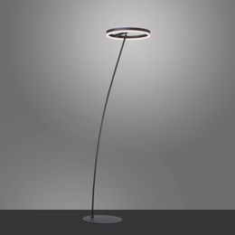Stehlampe Paul Neuhaus "TITUS", grau (anthrazit), Leuchten, 1, &Oslash; 45,5cm H: 215cm, 1 Stk., Stehlampe, LED, dimmbar &uuml;ber Schnurdimmer, H:215cm &Oslash;:45,5cm