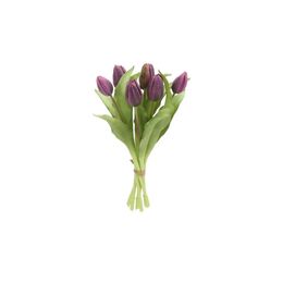 M&ouml;bel Kraft Tulpenbund lila/violett Kunststoff Ma&szlig;e (cm): H: 32 &raquo; M&ouml;bel Kraft