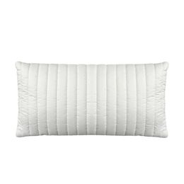 John Cotton Kopfkissen Magicline creme Ma&szlig;e (cm): B: 40 &raquo; M&ouml;bel Kraft