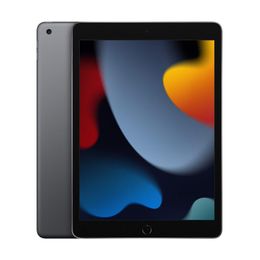 Apple iPad (10,2") Wi-Fi 256GB space grau