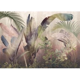Vliestapete Komar "Digitaldruck Vlies - Rainforest Mist - Gr&ouml;&szlig;e 350 x 250 cm", bunt, B:350m L:250m, Vlies, Tapeten, Wohnzimmer, Schlafzimmer