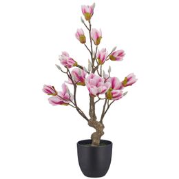 Gasper Kunstblume Magnolie