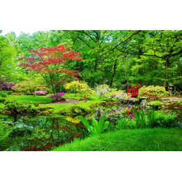 Fototapete papermoon "GARTEN-BLUMEN B&Auml;UME PFLANZEN STEINE WALD PARK BL&Uuml;TEN", bunt, B:4m L:2,6m, Vlies, Tapeten